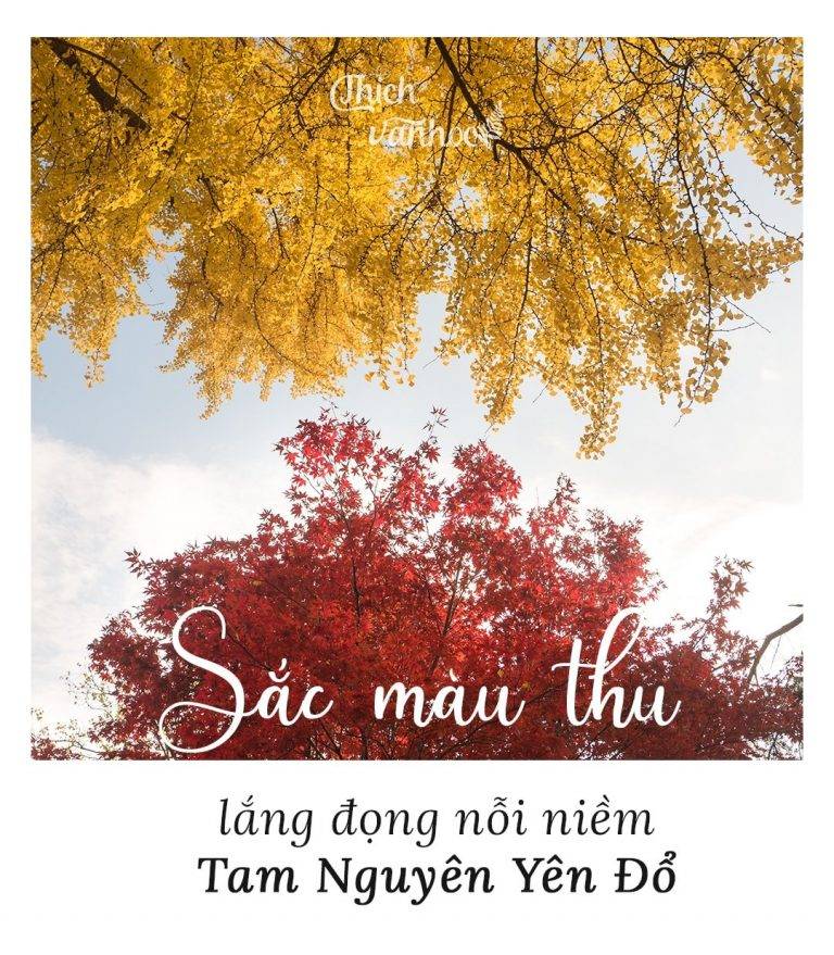 Cảm nhận Thu điếu - Nguyễn Khuyến - Thích Văn Học